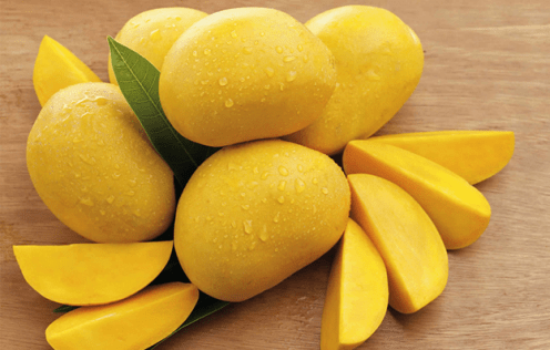 Why is it more fun to live in Zambales? - Camella Homes