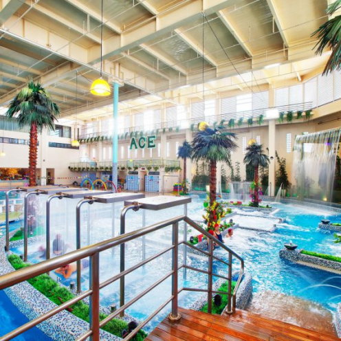 Top Indoor Swimming Pools You Can Visit in Metro Manila - Camella Homes