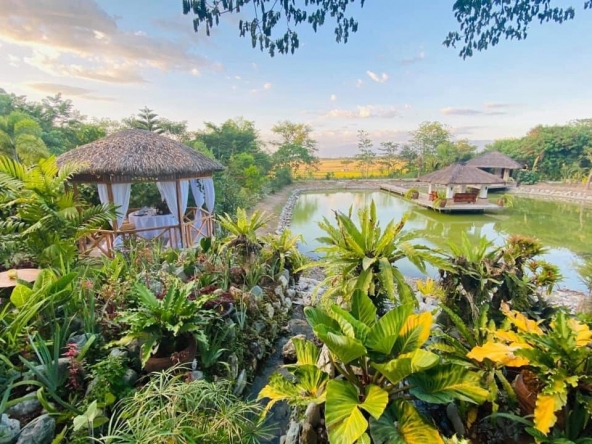 Exploring Nueva Ecija: Life at the Heart of Central Luzon - Camella Homes