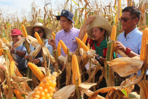 Get to Know Isabela: The Province and Its Cuisine - Camella Homes