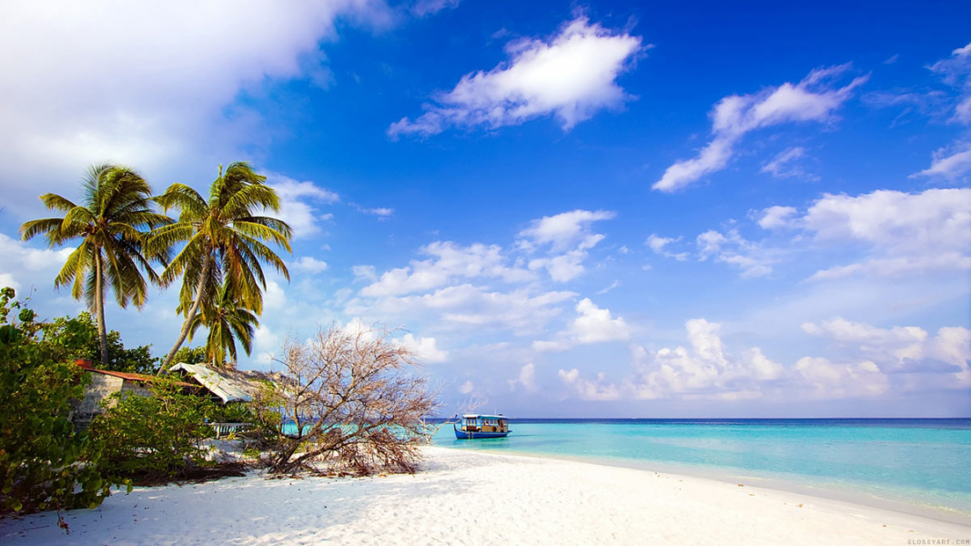 Why Live in Bogo Cebu: Discovering the Beauty of Bogo City in the ...