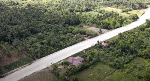 Infrastructure Projects in Central & Southern Luzon - Camella