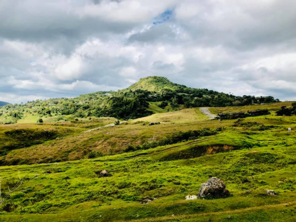 Hidden Gems You Need to Visit in Cebu - Camella