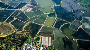 Why Live in Trece Martires, Cavite - Camella