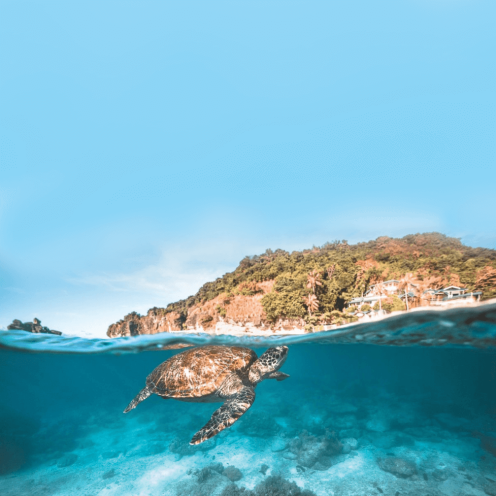 Delmare - Condo in Dumaguete