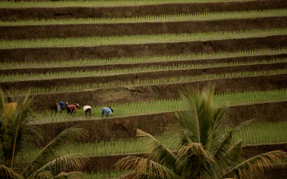 How to Protect Biodiversity in the Philippines: A Comprehensive Guide