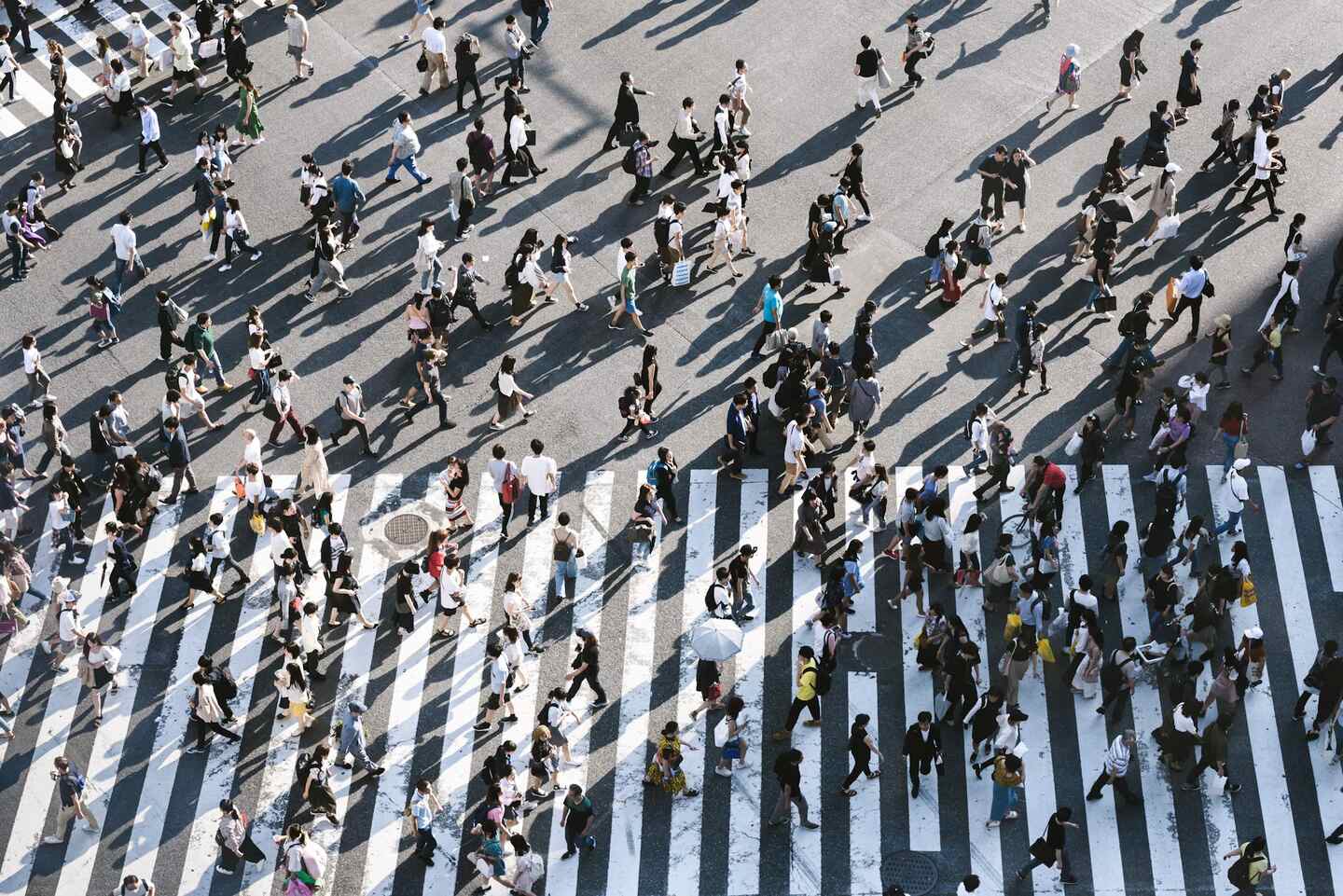 Impact of Population Growth on Housing Demand