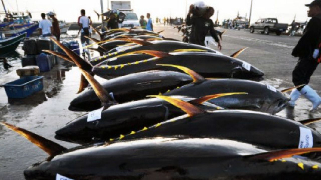 Famous and Best Foods to Try in Gensan