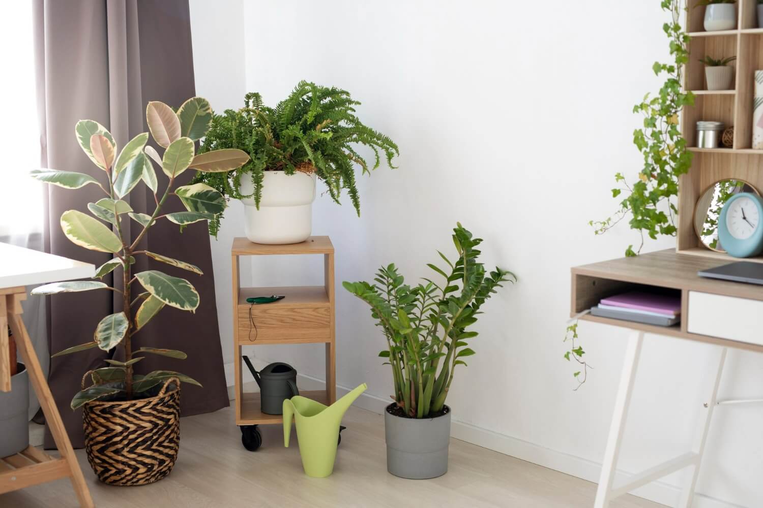 The Benefits of Indoor Plants for Your Home - Camella Homes
